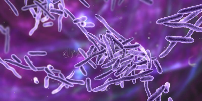 Erysipelothrix Bacteria, 3D Illustration Stock Illustration ...