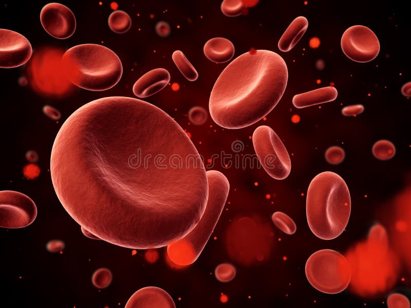 Erythrocyte Stock Illustrations – 5,343 Erythrocyte Stock Illustrations ...