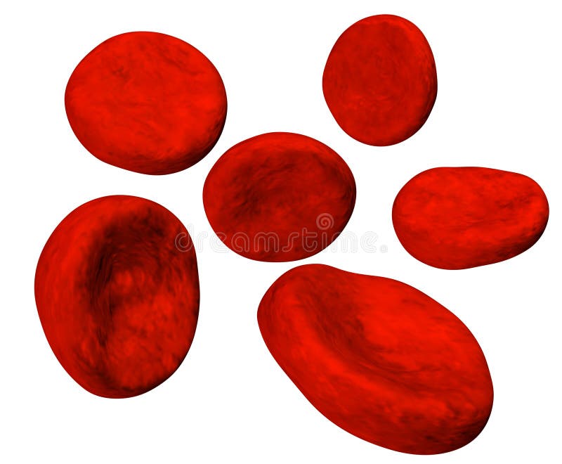 Erythrocytes stock illustration. Illustration of erythrocyte - 13364392