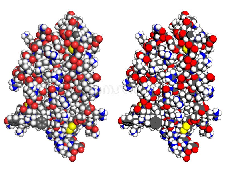 Erythropoietin model stock illustratie. Illustration of been - 130641681