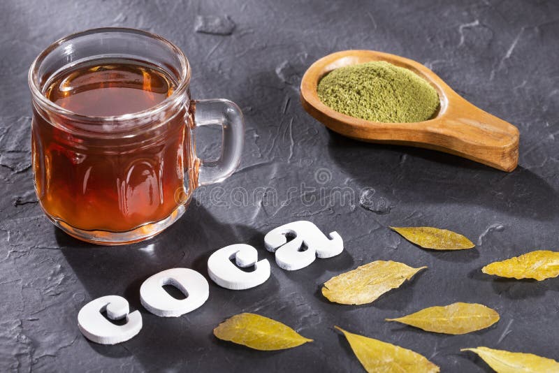 Coca Leaf Infusion - Erythroxylum Coca Stock Image - Image of green ...