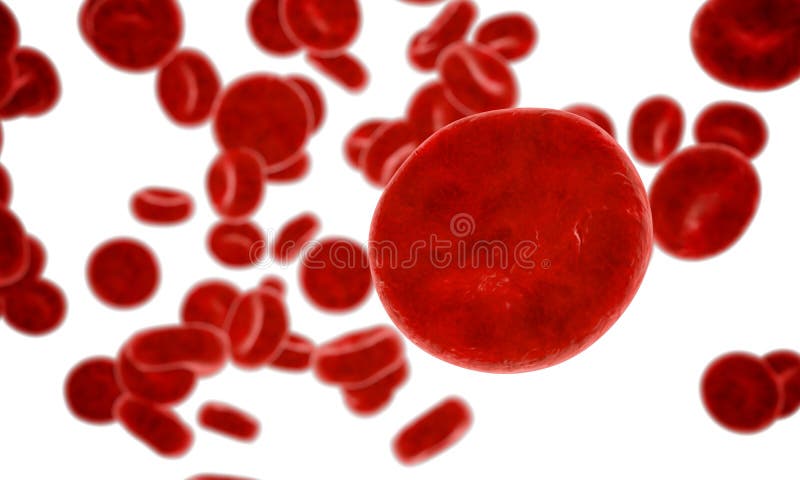 Erythrozyt, Rote Blutkörperchen, Anatomiekonzept Stockbild - Bild von ...