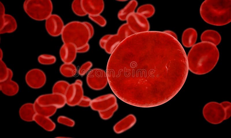 Erythrozyt, Rote Blutkörperchen, Anatomiekonzept Stock Abbildung ...