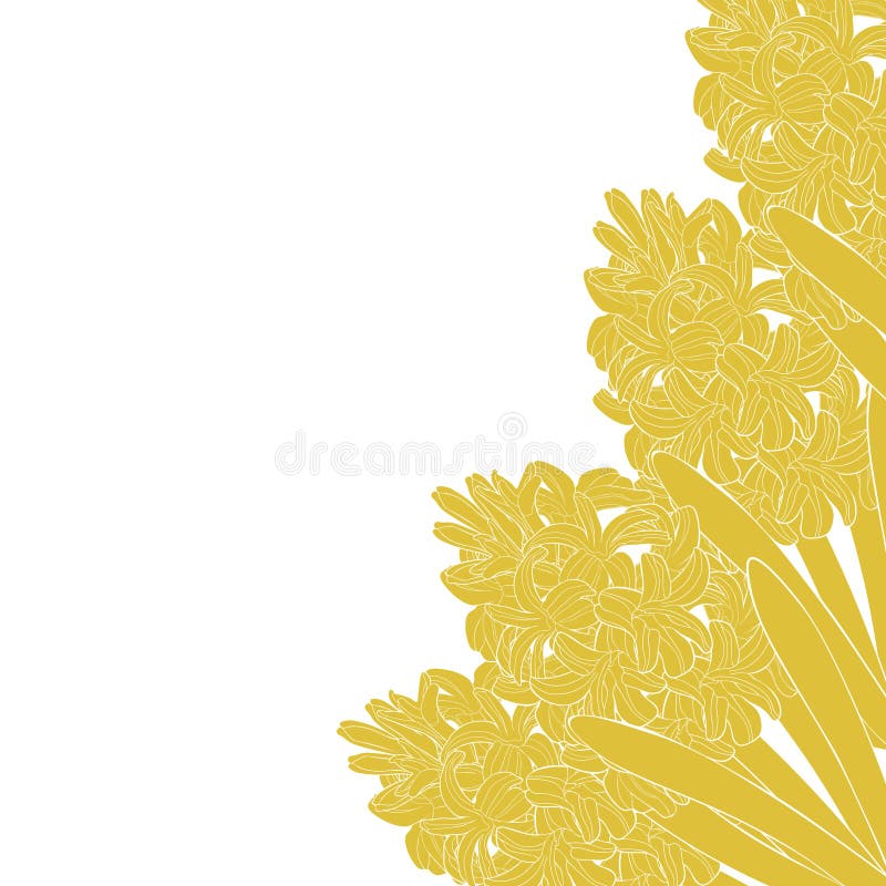 Es La Flor De La Primavera Del Jacinto Ilustración Del Vector ...