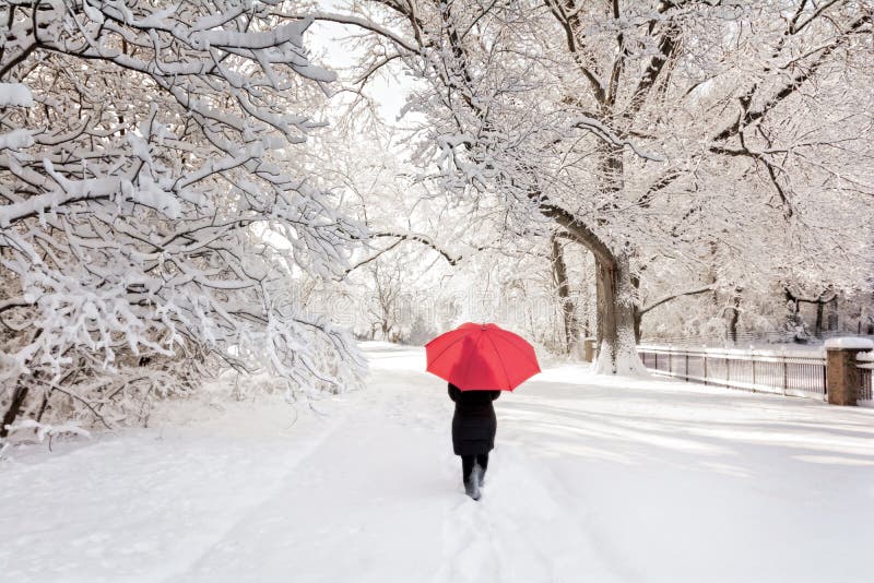 Es schneit stockbild. Bild von ohio, eingefroren, abdrücke - 70391661