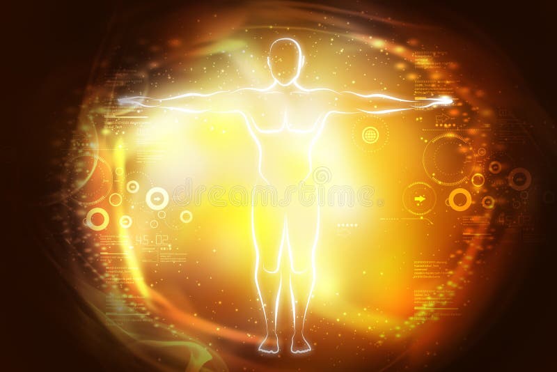 Esboço Do Corpo Humano à Luz Ilustração Stock - Ilustração de vista ...