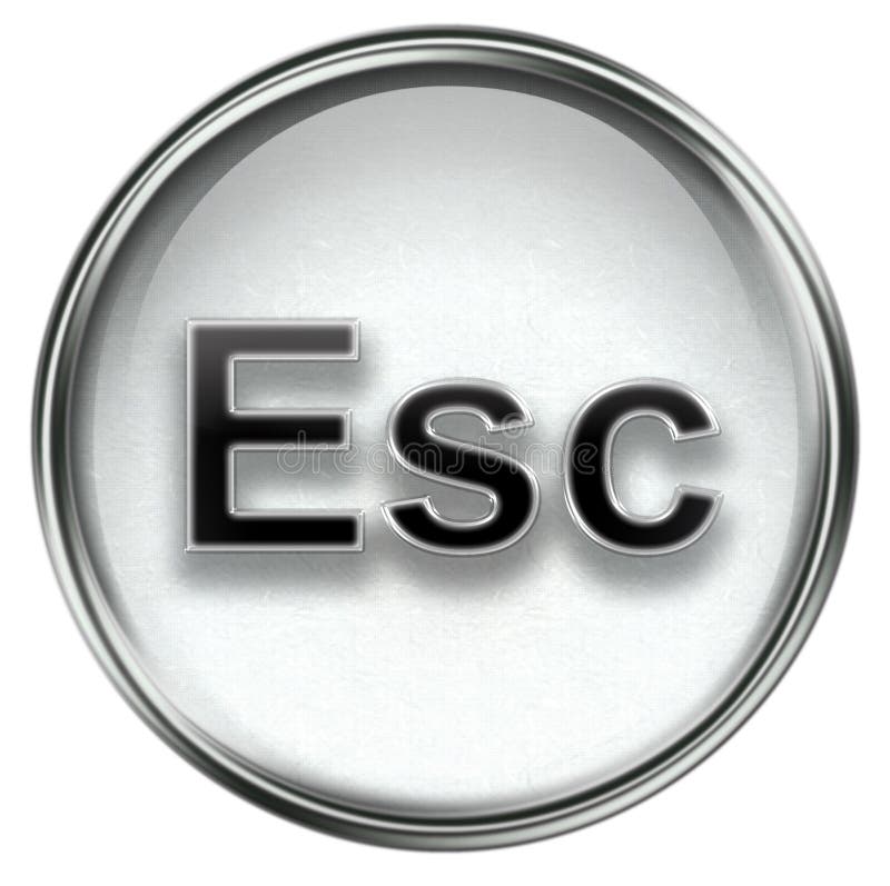 Esc Escape key icon stock vector. Illustration of exit - 156843057