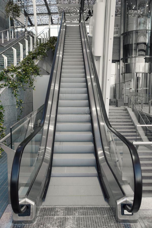 Escadas Rolantes Internas Flanqueadas Pela Vegetação Inclinada Em Ambos ...