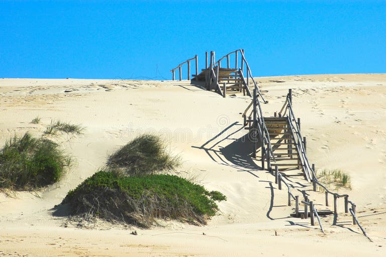 Escadas De Madeira Sobre Dunas Foto de Stock - Imagem de exterior ...