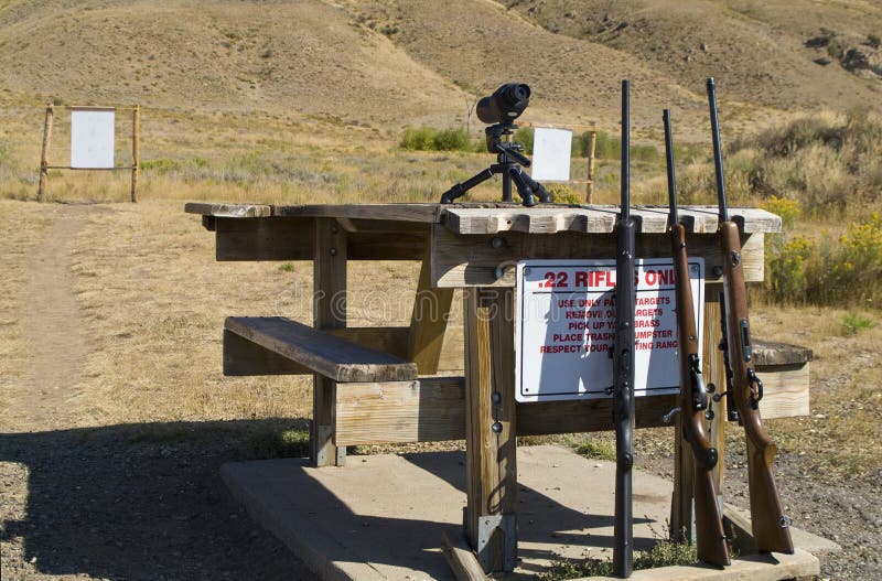Escala de rifle 22 foto de stock. Imagem de escala, injetor - 11016768