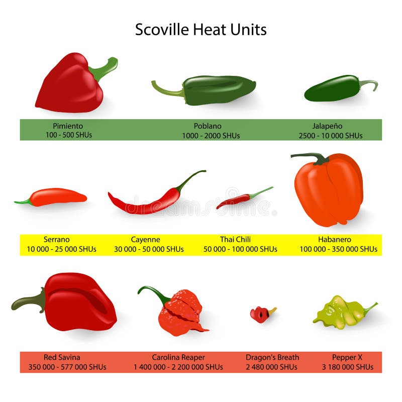 Escala Scoville De Pimentos Pimentões Infográficos Vetoriais ...
