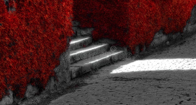 Escaleras surrealistas foto de archivo. Imagen de extracto - 2473592