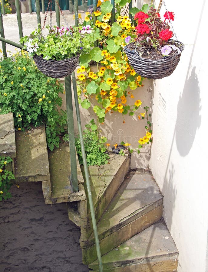 Escalier Secret De Sous-sol Photo stock - Image du dilapidé, cottage ...