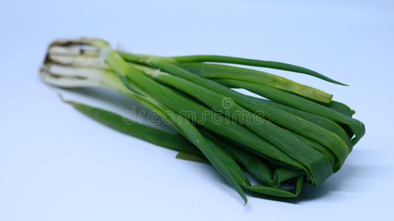 Escallion o daun bawang imagen de archivo. Imagen de aislado - 184203159