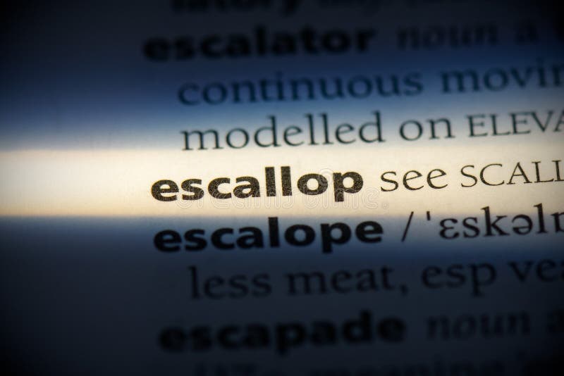 Escallop stock photo. Image of minimal, text, focus - 161578586
