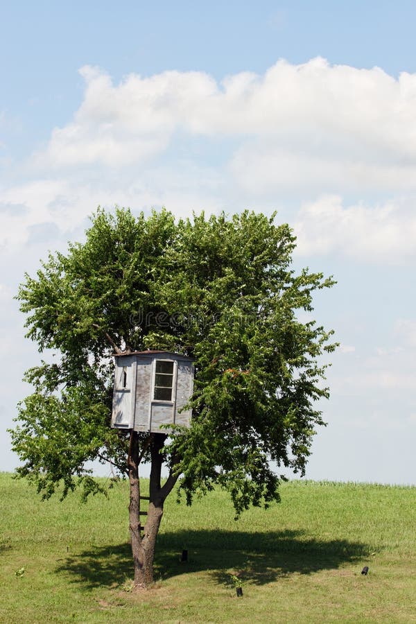 Enclosed Treehouse Stock Photos - Free & Royalty-Free Stock Photos from ...