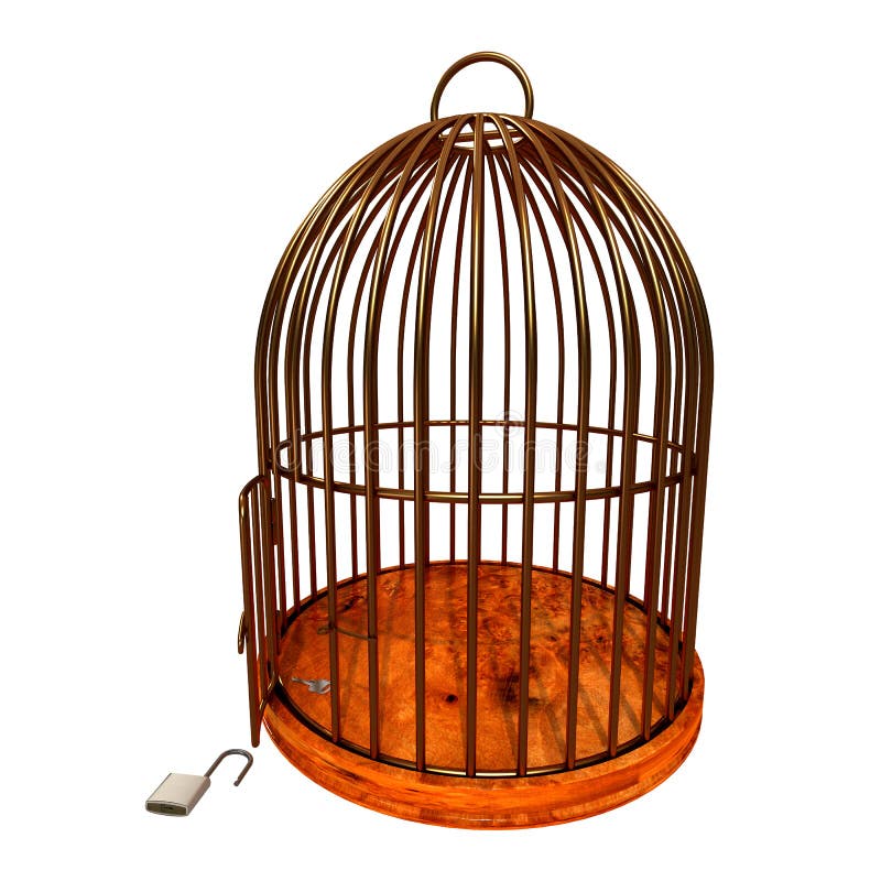Open Bird Cage stock photo. Image of cell, enclose, detainee - 5123568