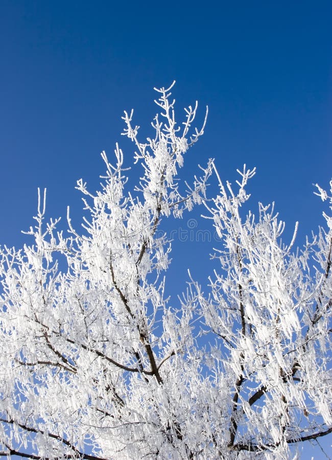 Escarcha 5 imagen de archivo. Imagen de quebradizo, cielo - 271239