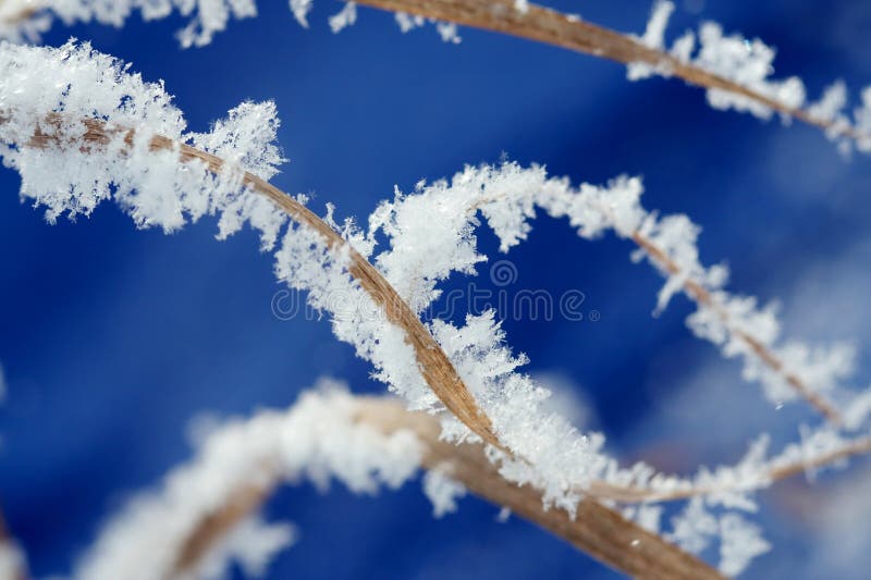 Escarcha imagen de archivo. Imagen de hielo, clima, fresco - 7640829