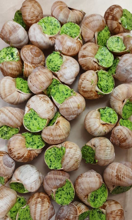 Escargo stock image. Image of plant, cuisine, escargo - 237072847
