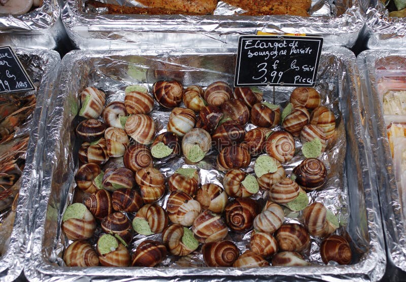 Escargot stock foto. Image of escargotten, prijs, knoflook - 20975080