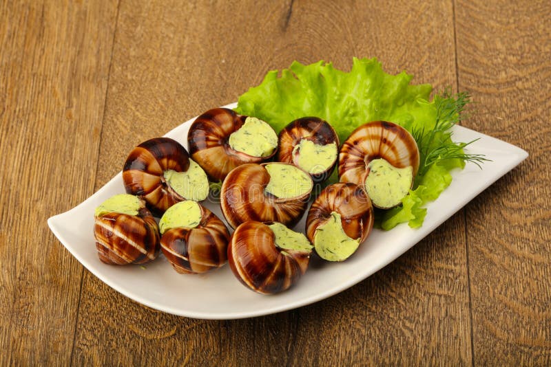 Escargot stock image. Image of cuisine, meal, shell - 111783473