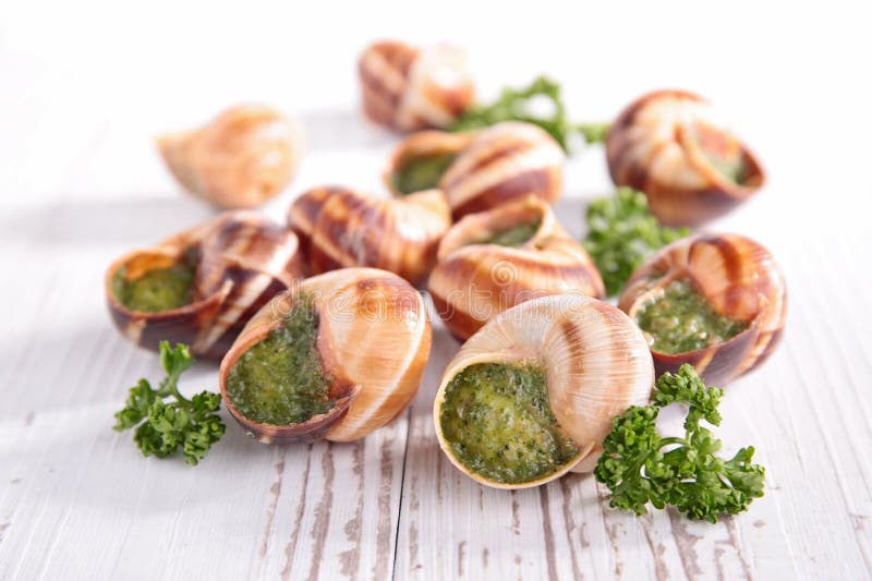 Escargot stock photo. Image of culinary, gastronomy, cuisine - 46190506