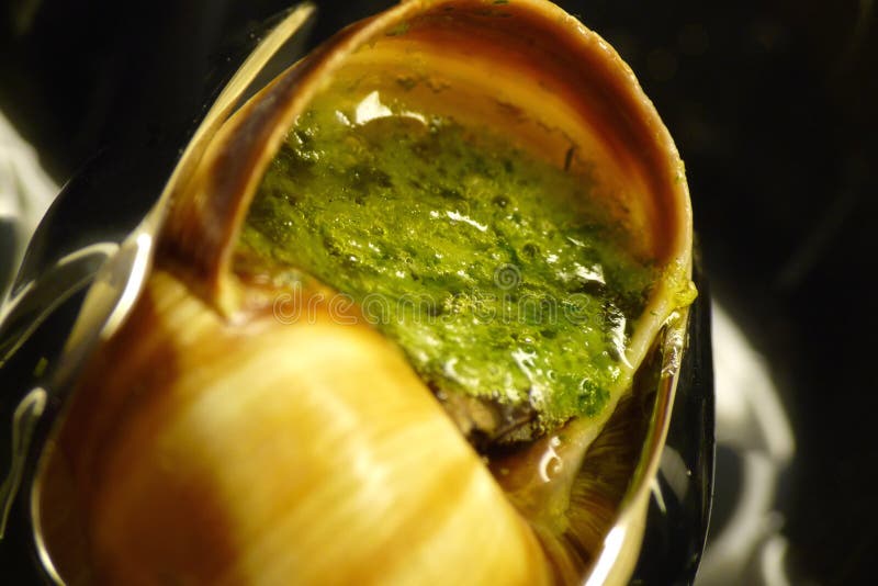 Snails stock image. Image of plate, appetizers, natural - 19861973