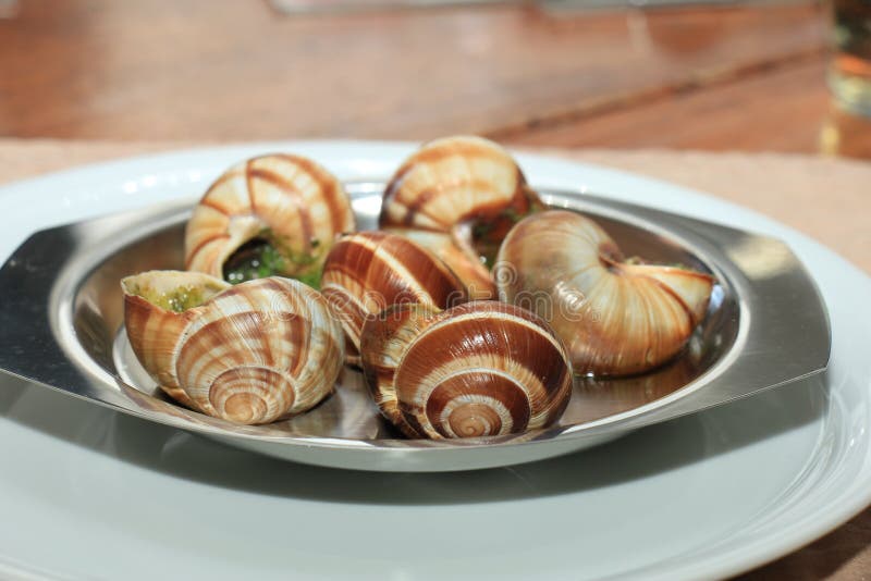 Escargot de Bourgogne foto de stock. Imagem de salsa - 102026260