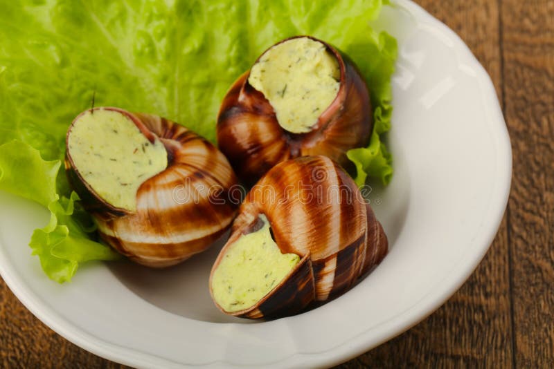 Escargot stock photo. Image of dish, food, gratin, gastronomy - 111741956