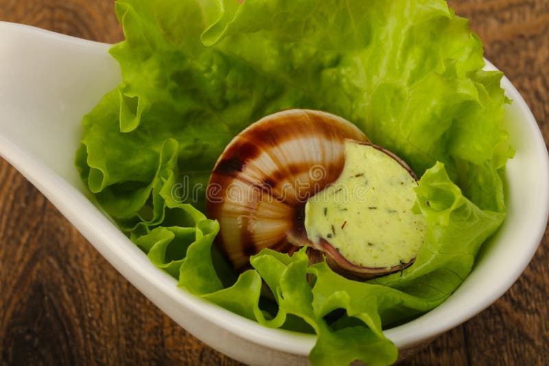 Escargot stock image. Image of shell, snails, food, french - 111771719