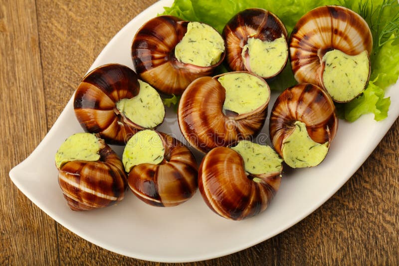 Escargot stock image. Image of prepared, escargot, gratin - 111963209