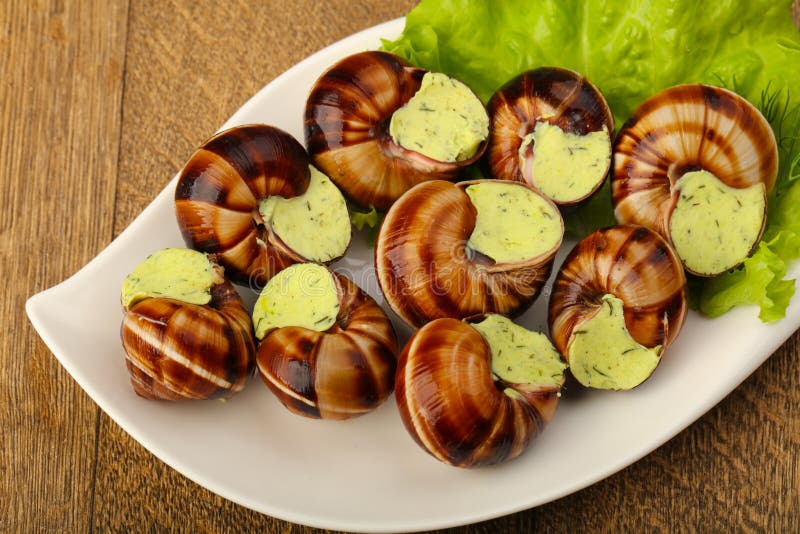 Escargot stock image. Image of meal, restaurant, snail - 111963347