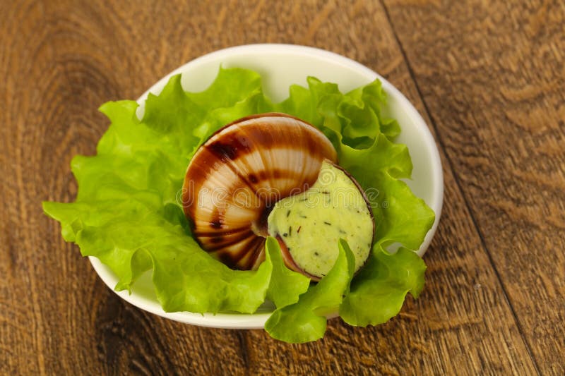 Escargot stock image. Image of green, cooked, bourgogne - 111966487