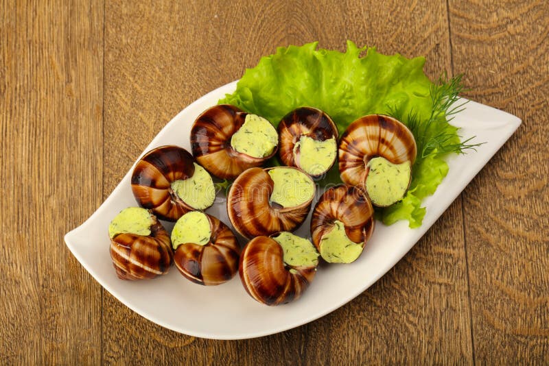 Escargot stock image. Image of prepared, butter, shell - 112408255