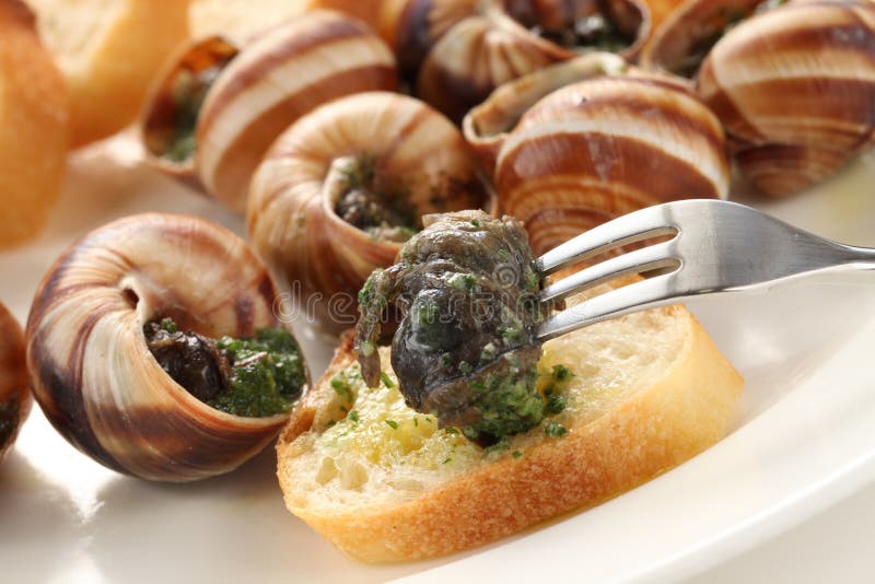Escargot, Slakken La Bourguignonne Stock Foto - Image of keuken, schelp ...