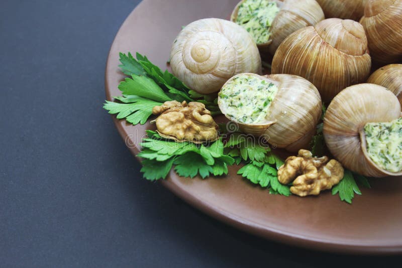 Escargot Snails Cooked with Garlic Butter on Plate Stock Image - Image ...