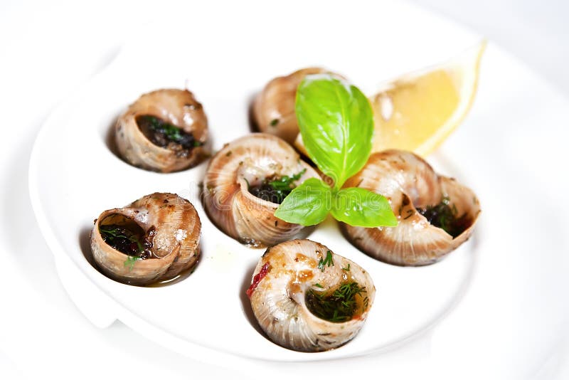 Plat des escargots photo stock. Image du français, fond - 35118150
