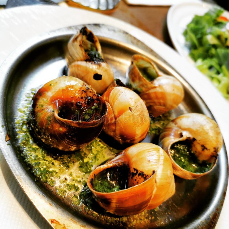 Escargots a La Bourguignonne Imagem de Stock - Imagem de paris, escargô ...