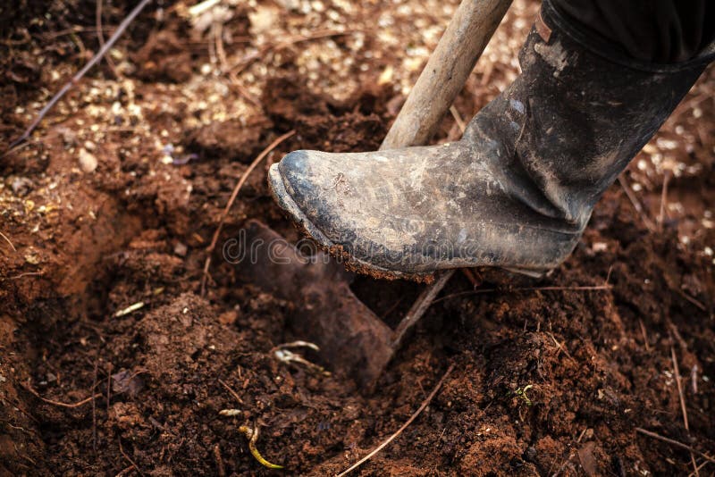 Escavar imagem de stock. Imagem de jardinar, pessoa, closeup - 58734675