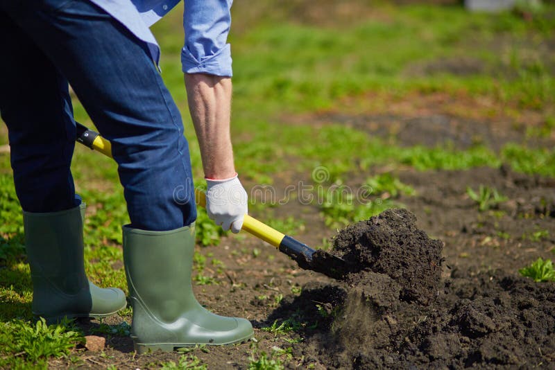 Escavar imagem de stock. Imagem de luva, mola, campo - 58734675