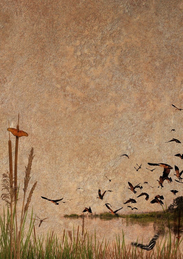 Escena del yermo foto de archivo. Imagen de copia, extracto - 18304064