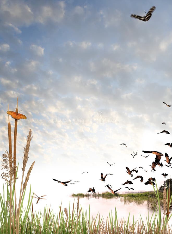 Escena del yermo en blanco imagen de archivo. Imagen de paisaje - 18304057