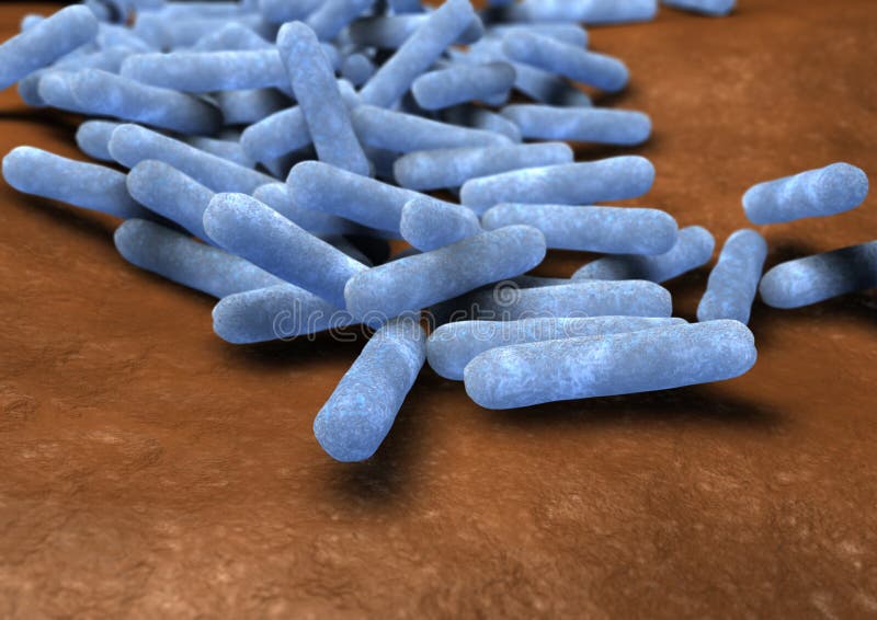 2+ Escherichia Free Stock Photos - StockFreeImages