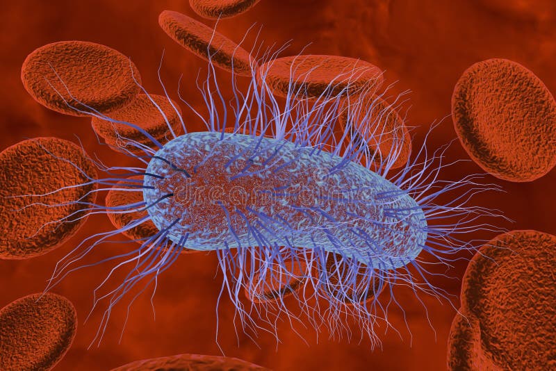 Escherichia coli bacterium stock illustration. Illustration of ...