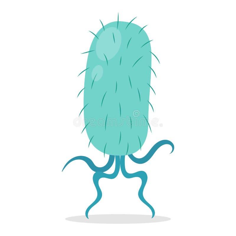 Escherichia Coli Cell Vector Cartoon Stock Vector - Illustration of ...