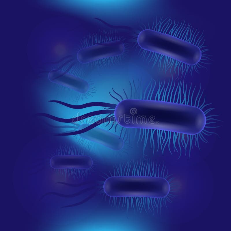 Escherichia Virus T4 Cell Vector Cartoon Colorless Stock Vector ...