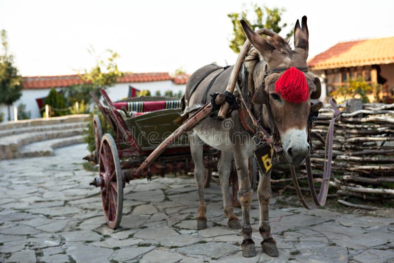 Esel und Wagen stockbild. Bild von esel, entwurf, bewirtschaften - 18835549