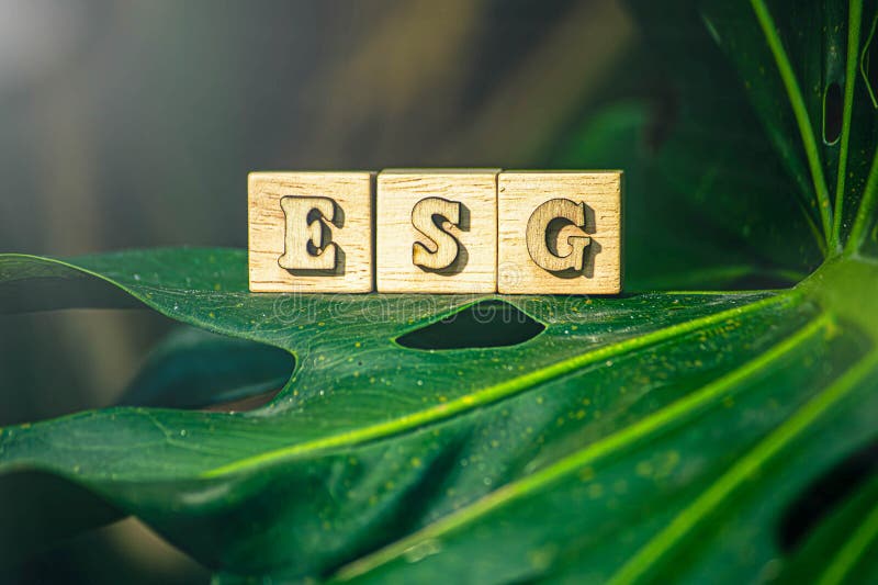 ESG on a Wood Block. Future Environmental Conservation and Sustainable ...