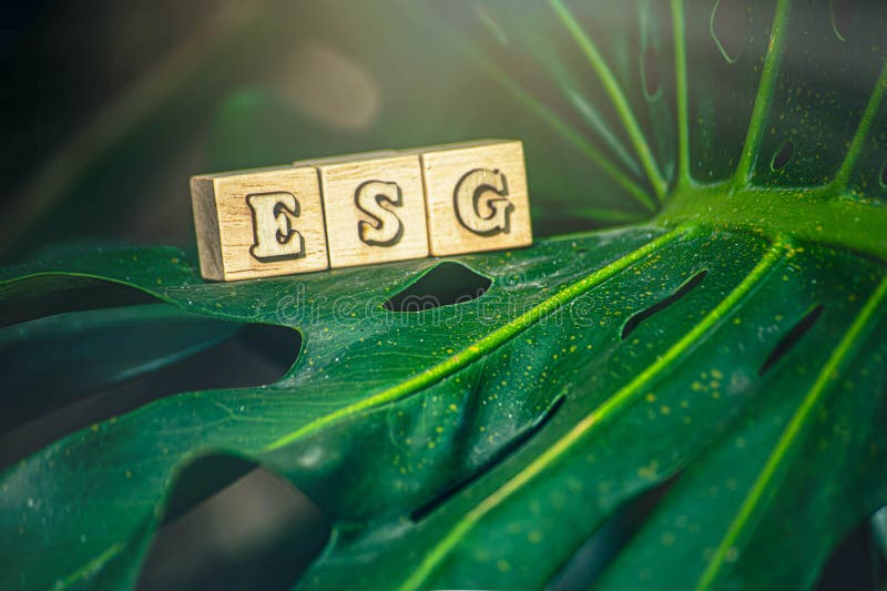 ESG on a Wood Block. Future Environmental Conservation and Sustainable ...